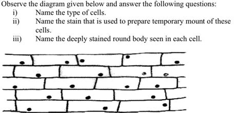 Ques Observe The Diagram Given Below And Answer The Following Questions Kindly Check The