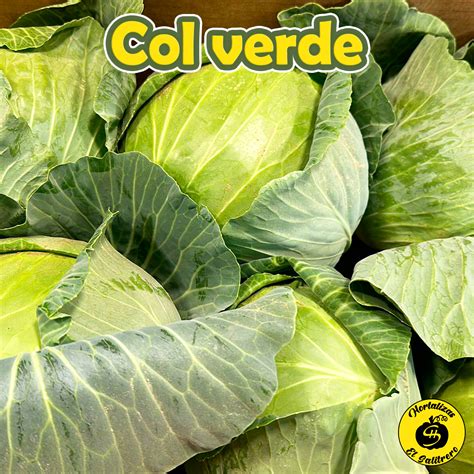Hortalizas 🌱🌿 Descubre Los Beneficios De Las Coles Verdes Con