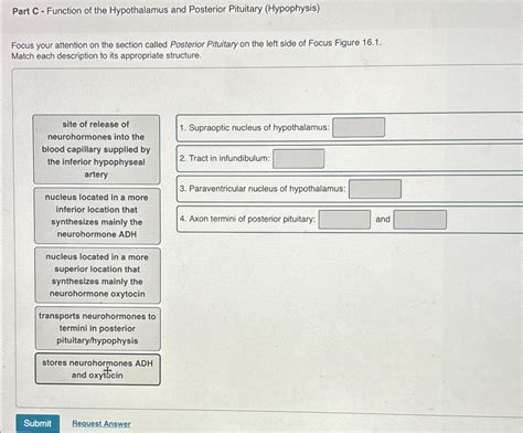 Solved Part C - ﻿Function of the Hypothalamus and Posterior | Chegg.com