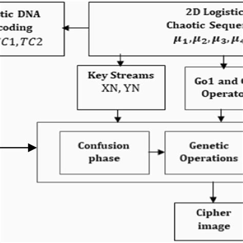 A Plain Image B Histogram Of Plain Image C Cipher Image D Histogram
