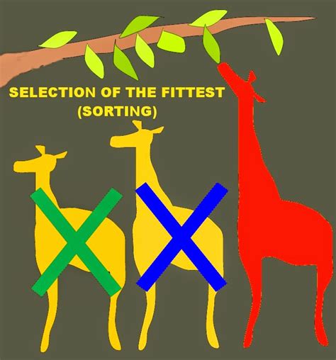 Crosstree Blog Sort Yourself Out Grade Yourself In