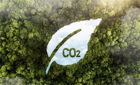 Carbon Offsetting Way To Reduce Greenhouse Gases Climate Carbon