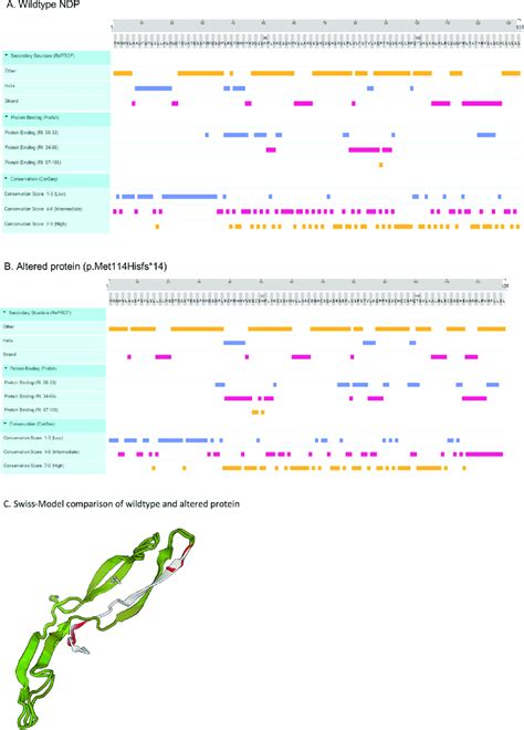 Comparison Of The Wildtype A And Altered Protein B Using