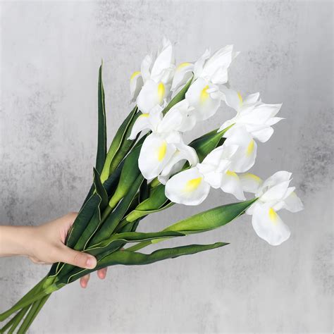 White Iris Flower Bouquet 5 Types Of White Irises How To Grow