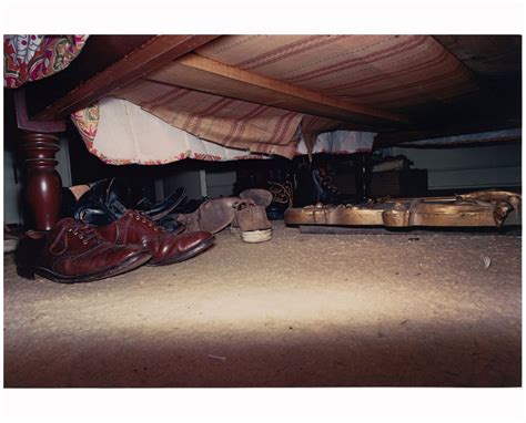 William Eggleston Pleasurephoto Pagina