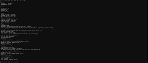docker running on aws ec2 linux docker is an open source platform for