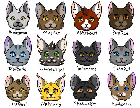 Warrior Cats Med Cat Ceremony At Lisa Rubino Blog