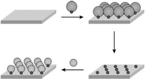 Scheme For Functional Group Transfer From Nanoparticles To Substrate Download Scientific