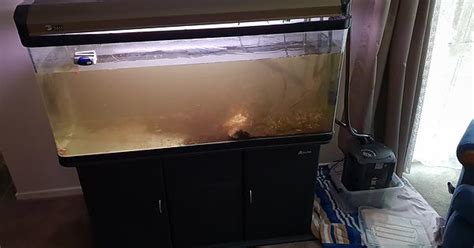 Shut Down Time Album On Imgur