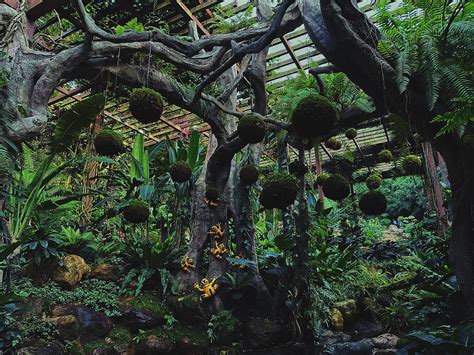 Are Ais Creative How Is Ai Creativity Viewed In A… By Eda Medium