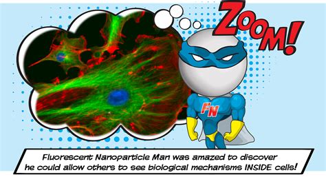 Fluorescent Nanoparticles The Super Powered Cell Mapper By Science