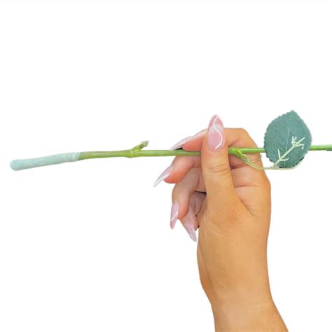 Stem And Reed Stem Seal 90g Cakers Paradise Cakers Paradise