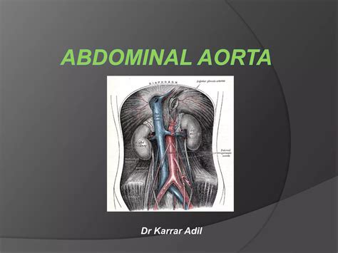 Abdominal Aortapptx