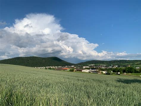 독일 생활 외국인은 복지의 사각지대에 있다