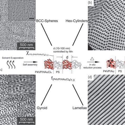 The Four Hybrid Diblock Copolymer Morphologies After Incorporation Of