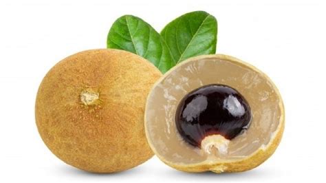 10 Khasiat Buah Longan Kepada Kesihatan The Diagnosa