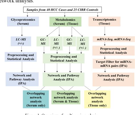 Figure 1 From Multi Omic Pathway And Network Analysis To Identify