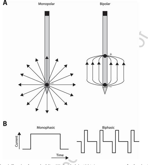 Figure 1 From Cholinergic Deep Brain Stimulation For Memory And