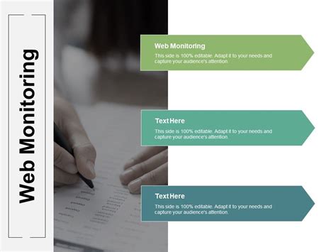 Web Monitoring Ppt PowerPoint Presentation Professional Icons Cpb