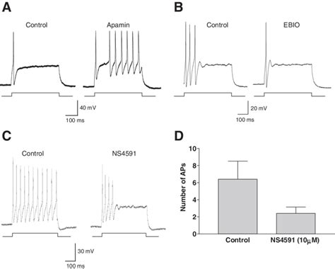 Action Potentials In Rat Bladder Sensory Neurons A Action Potentials