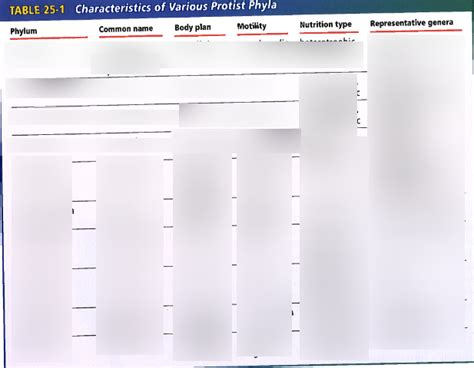 Biology Chapter 25 Characters Of Protists Chart Diagram Quizlet