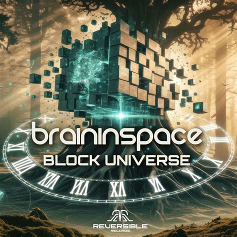 Block Universe Reversible Records