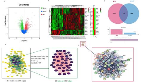 Bioinformatics Analysis A Volcano Map P Value To Draw A Volcano Map