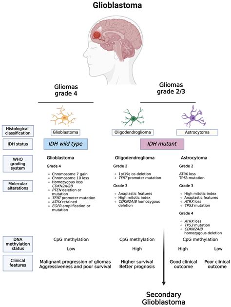 Updated Who Classification Of Tumors Of The Cns The 2021 Who