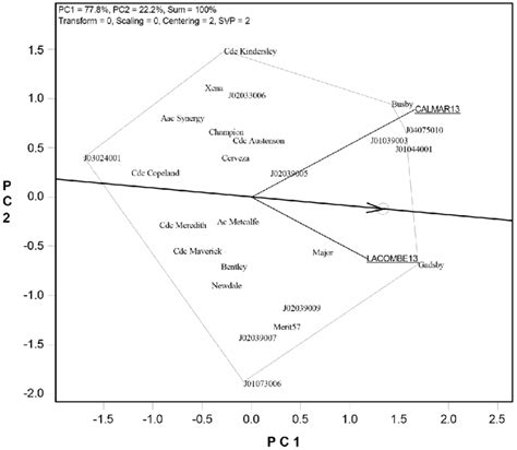 A Genotype Plus Genotypé Environment Interaction Gge Biplot View