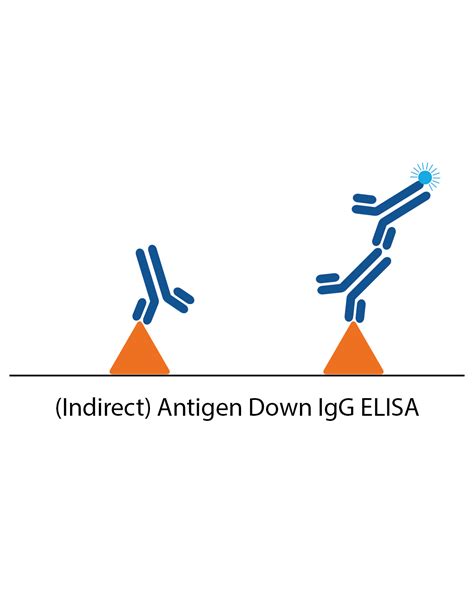 Elisa Formats For Infectious Disease Diagnostics The Native Antigen