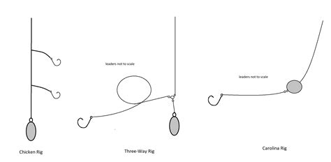 Gulf Bottom Fishing Basics Offshore Intro And Bottom Fishing