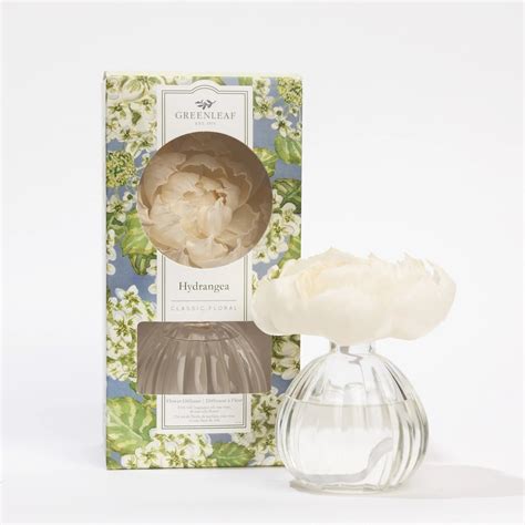 Greenleaf Flower Diffuser Hydrangea Tulip Bloom Boutique