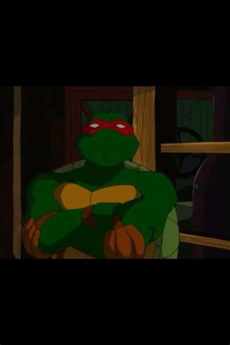 Raphael 2003 Tmnt Version Tmnt Tmnt Wallpaper Raphael Tmnt