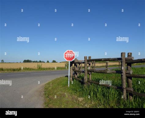 Red Stop Sign At The End Of A Country Road At An Intersection Stock