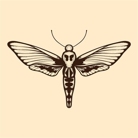 Premium Vector Vector Moth Mystic Symbol Witchcraft Occult Alchemical