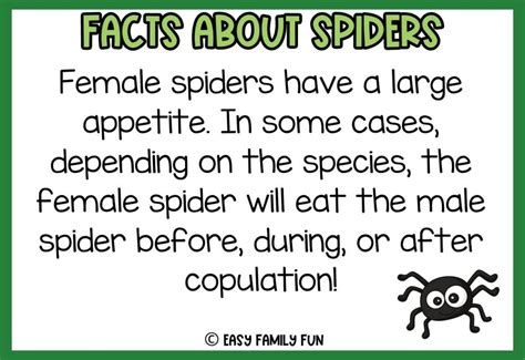 53 Fascinating Facts About Spiders [free Fact Cards]