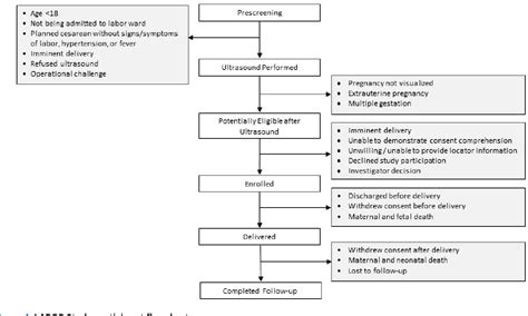 Figure 1 From Limiting Adverse Birth Outcomes In Resource Limited Settings Labor Protocol Of