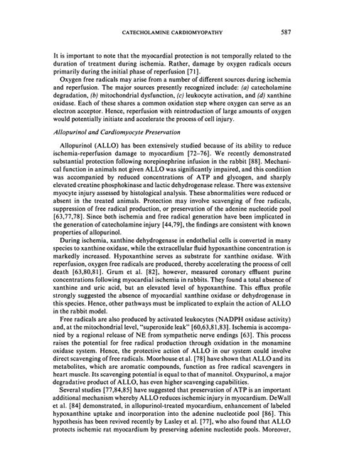 Catecholamine Cardiomyopathy Review And Analysis Of Pathogenetic