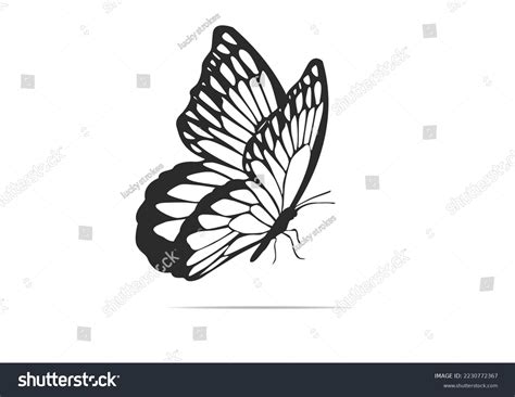 Side Butterfly Hand Drawn Vector Stock Vector Royalty Free 2230772367