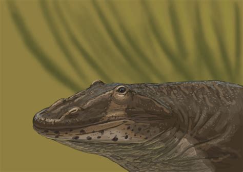 Results From The Flocking Paleostream Eryops Plateosaurus