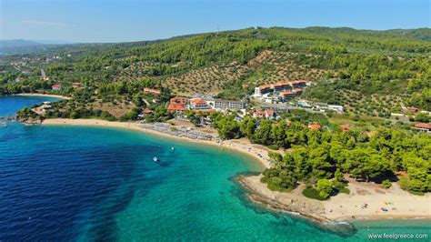 Лагомандра Ситония