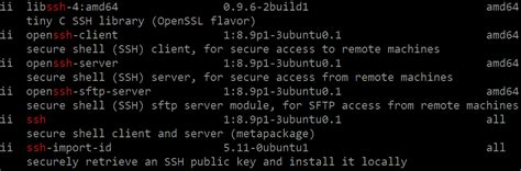 Cómo Instalar Un Sftp Server En Ubuntu Ionos