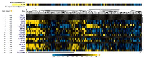 Transcriptional Co Regulation In The Transformed Human Breast Adar Download Scientific Diagram