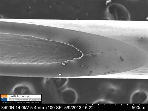 Scanning Electron Microscope Blog How Sharp Is A Hypodermic Needle