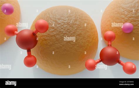 A 3d Rendering Of Potassium Bromate Molecules With Bread Potassium