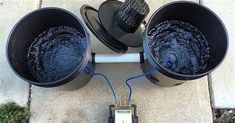 Diy Hydroponics Building A 2 Bucket Dwc System