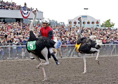 Top 10 Bizarre Sports Competitions You Wont Believe Exist