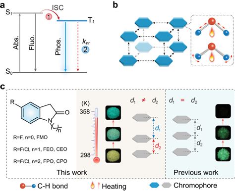 Abnormal Thermally Stimulated Dynamic Organic Phosphorescence Pmc