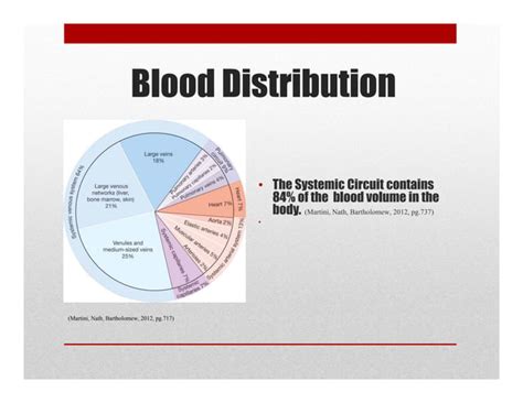 The Systemic Circuit Ppt