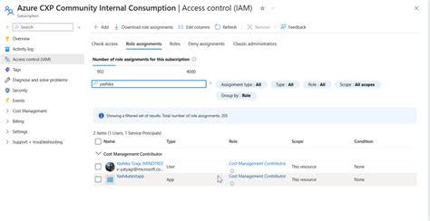 How To Resolve RBACAccessDenied Error When Using Azure API To Query Billing Account Costs